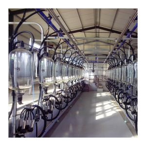 Quality 24-100 point Cow High Efficient Dairy Milking Parlor Dairy Farm Machine for sale