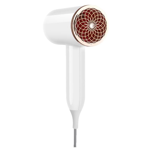 Quality High Concentration Negative Ions Hair Dryer for Static Electricity Neutralizatio for sale