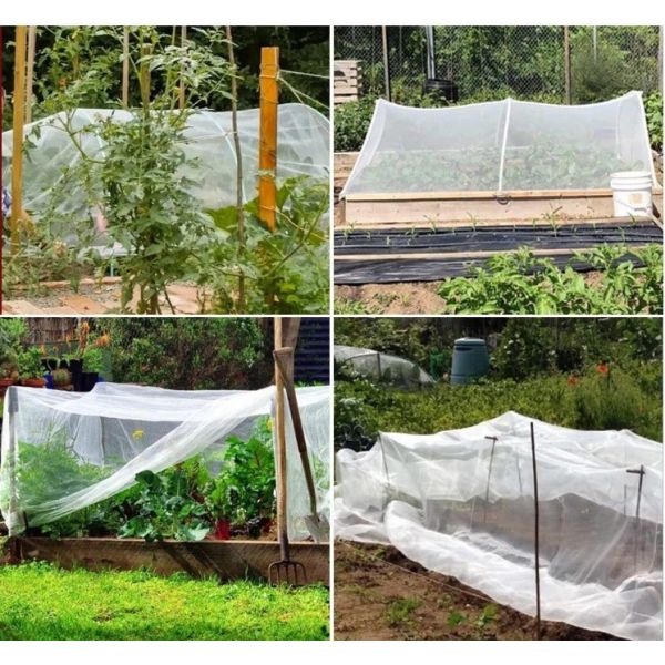 Quality HDPE Anti-UV Insect Netting Ideal Solution For Nursery Fruit Tree Protection for sale