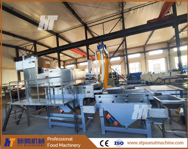 Quality Peach Nut Peanut Crushing Machine Chestnut Cashew Nut Chopping Machine for sale
