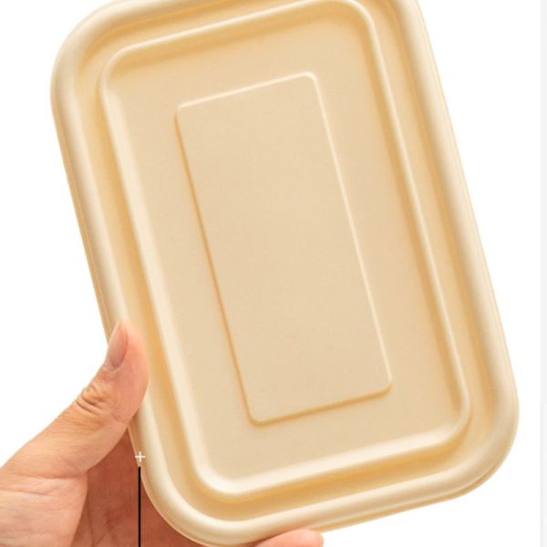 Quality 500 600ML Disposable Compostable Cornstarch Meal Lunch Box Fast Food Packaging for sale