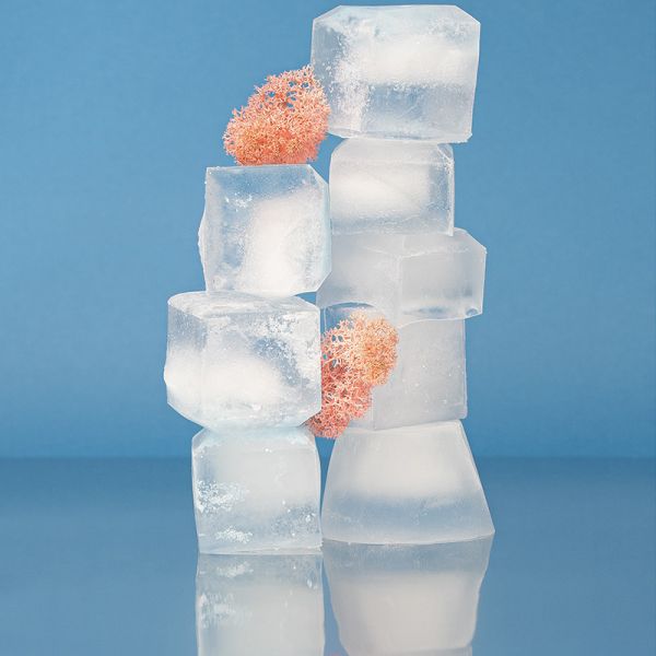 Quality 300-500kg/24h Automatic Ice Cube Maker for Cooling Drinks in Stainless Steel for sale