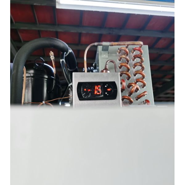 Quality Static Cooling Bagged Ice Merchandiser N-ST Climate Type Defrorsting Glass Door for sale