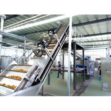Quality Professional Supplier fruit juice production line from fruit washing material for sale
