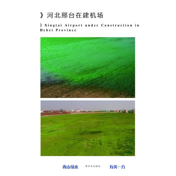 Quality Mineral Ash Road Dust Suppression Off White for sale