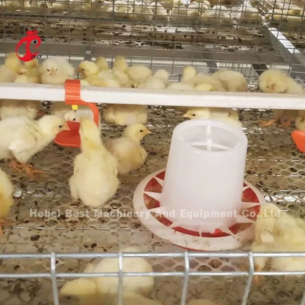 Quality A Type Broiler Chicken Cage And Farm Poultry House Building Design Mia for sale
