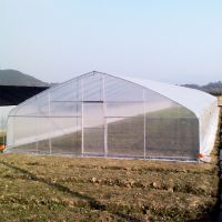 Quality Easy Installation Garden Greenhouses With 3-5 Years Lifespan for sale