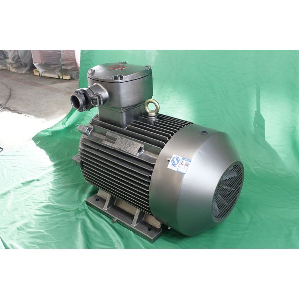 Quality IP55 18.5kW Explosion Proof Electric Motor YBX3 180M-4 3 Phase Induction Motor for sale