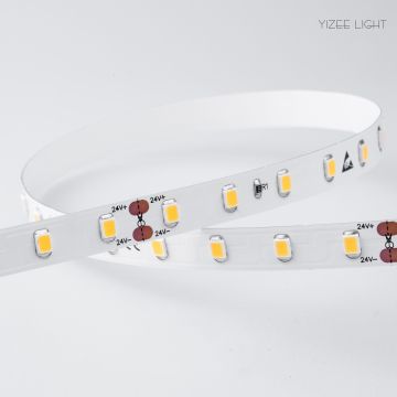 Quality 160LM/W High Efficiency LED Tape DC24V 80Leds/M 8mm Width 24v Led Strip Lights for sale