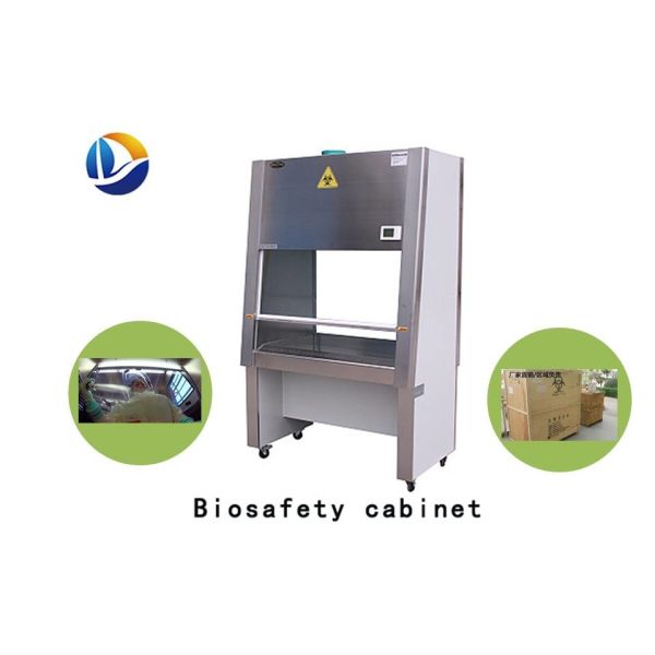Quality 304SS Biological Safety Cabinet Sterile BSC Biosafety Cabinet for sale