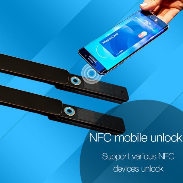 Quality IP68 Waterproof FPC Fingerprint Smart Door Lock Bluetooth Antique for sale