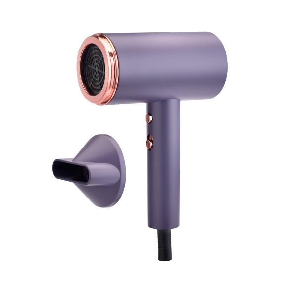 Quality Low Noise Blow Dryer , Ionic Folded Traveling Hair Dryer for sale