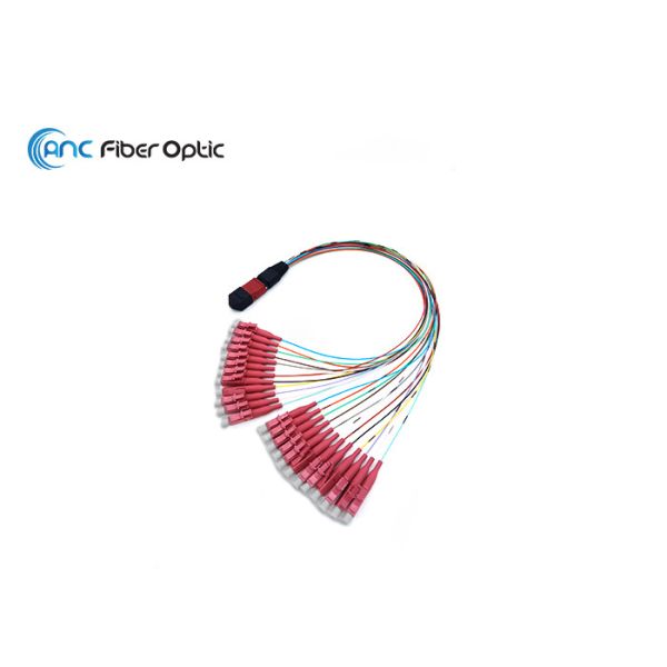 Quality Fan Out Fiber Optic Cable Assembly MTP MPO To LC 0.9mm Connector 12 /24 Fiber for sale