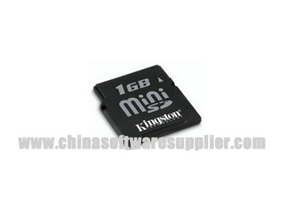 Quality Compact Flash Memory Cards for KINGSTON MINI SD for sale