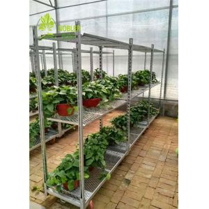 Quality Nobler Danish Container Equipment Galvanized CC Flower And Plant Trolleys for sale