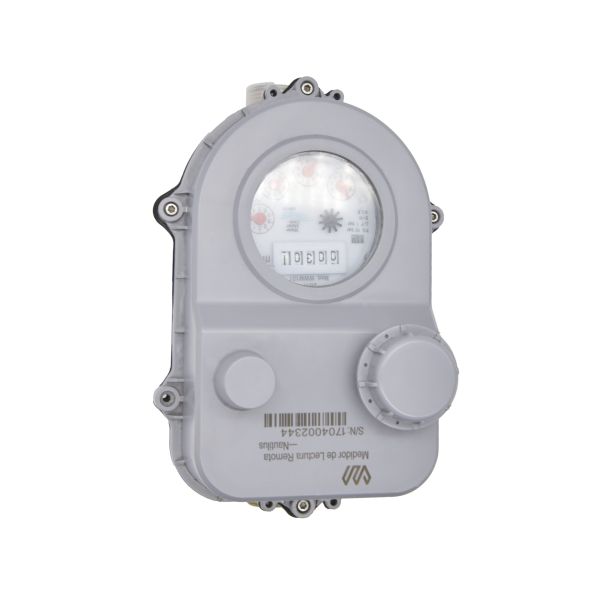 Quality Waterproof IP68 Smart Water Meter Smart Cold Water Meter LXSW-A110 for sale