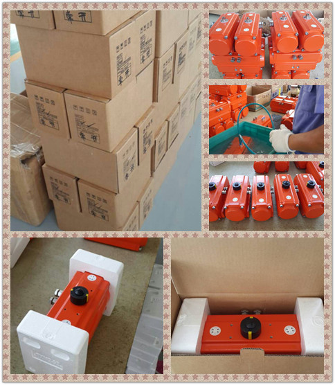 Quality Small Double Acting Pneumatic Actuator With Spring Return 1/4 Turn for sale