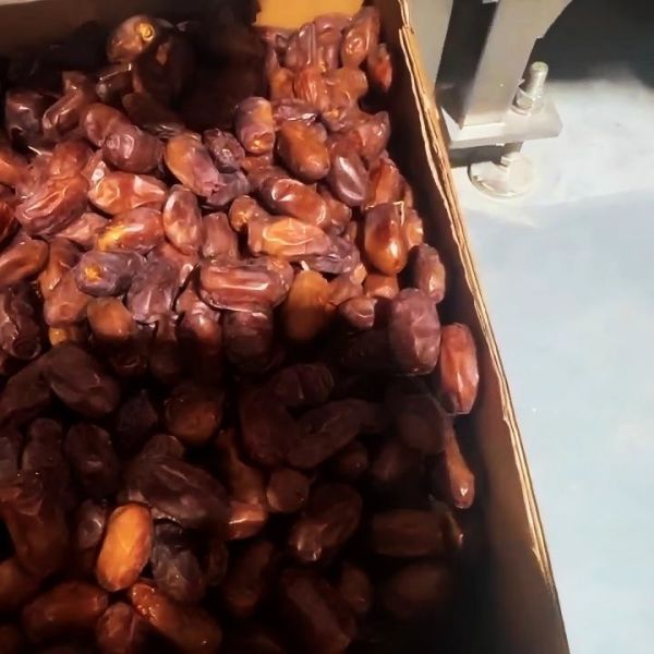 Quality Computer Control High Capacity Dates Sorting Machine 8 Lane High Precision & for sale