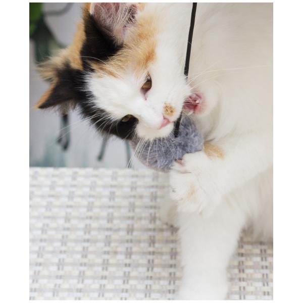 Quality ODM Bite Resistant 42cm Sisal Scratching Post for sale