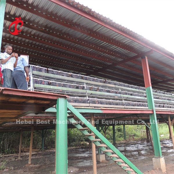 Quality Angle Bar Frame Poultry Battery Cage System H Type Layer Chicken Cage Africa for sale