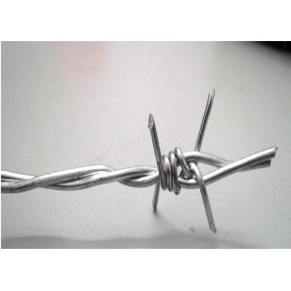 Quality 12x12 Single Twisted Galvanized Razor Barbed Wire for sale
