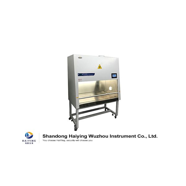Quality Class II A2 Biosafety Cabinet 10 Degree Physiological Slope for sale