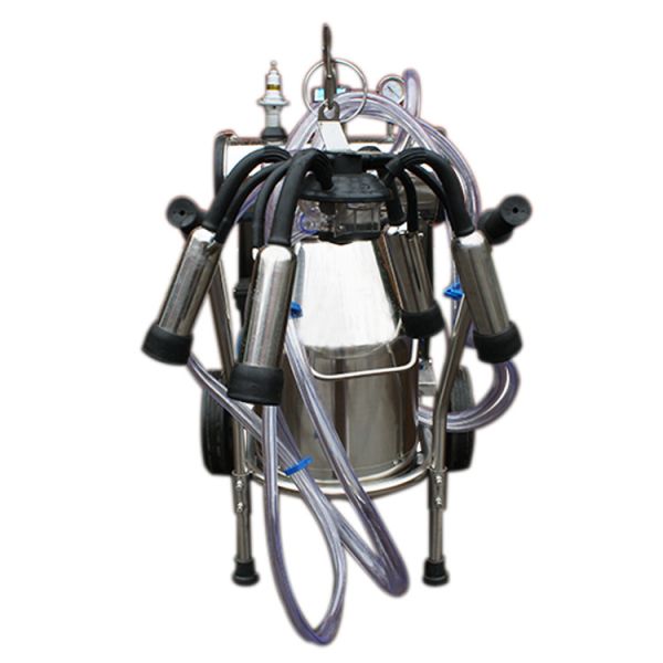 Quality Negative Pressure 170L/min Cow Milking Machine SS304 Material for sale