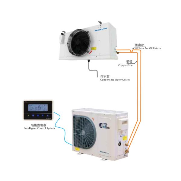 Quality DCF030AM Electronic expansion valve control cooling fast, high efficiency SCROLLTECH CONDENSING UNIT + UNIT COOLER for sale
