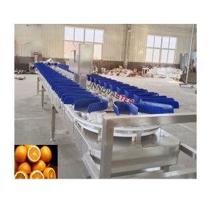Quality Meat Processing Plants Belt Type Shrimp Grading Machine with User-Friendly for sale