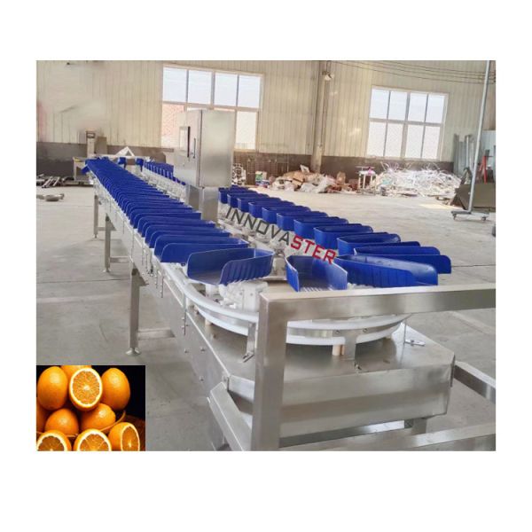 Quality Meat Processing Plants Belt Type Shrimp Grading Machine with User-Friendly for sale