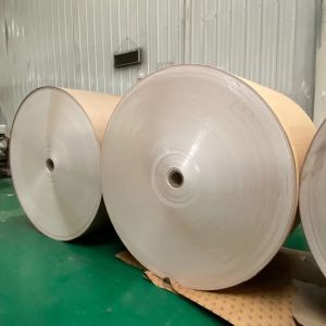 Quality 190 Gram PE Coated Paper In Roll Dia 1100mm Fully HD Printing for sale