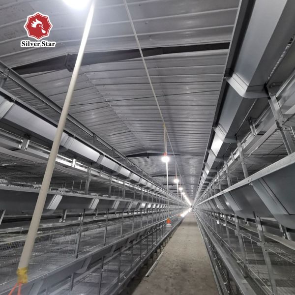 Quality 3-9 Floor Farm Battery Chicken Cage With Automatic System for sale