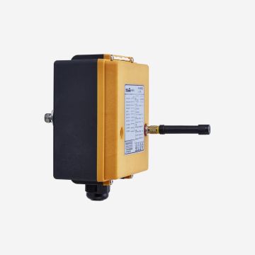 Quality Telecontrol Radio Remote Control System F23-BB 10 Pushbuttons Remote Crane for sale