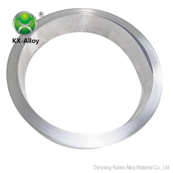 Quality Corrosion Resistance ASTM Incoloy Alloy Inconel 800 Strip Customized for sale