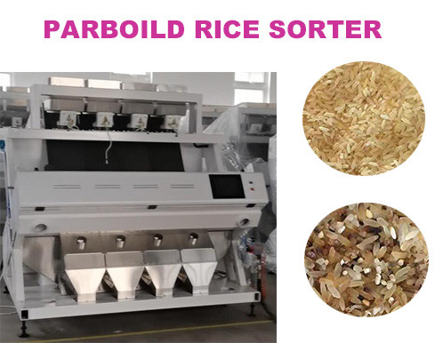 Quality 256 Channels 4 Chutes CCD Color Sorter Machine For Parboiled Rice for sale