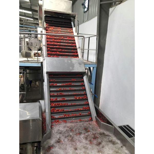 Quality 2TPH Tomato Paste Processing Line for sale