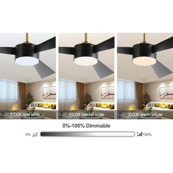 Quality Smart Energy Saving 52 Inch Ceiling Fan Lighting In Black for sale