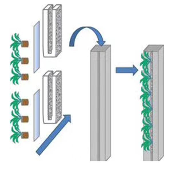 Quality Skyplant Customized NFT Vertical Climate Control Hydroponic Growing Systems for sale