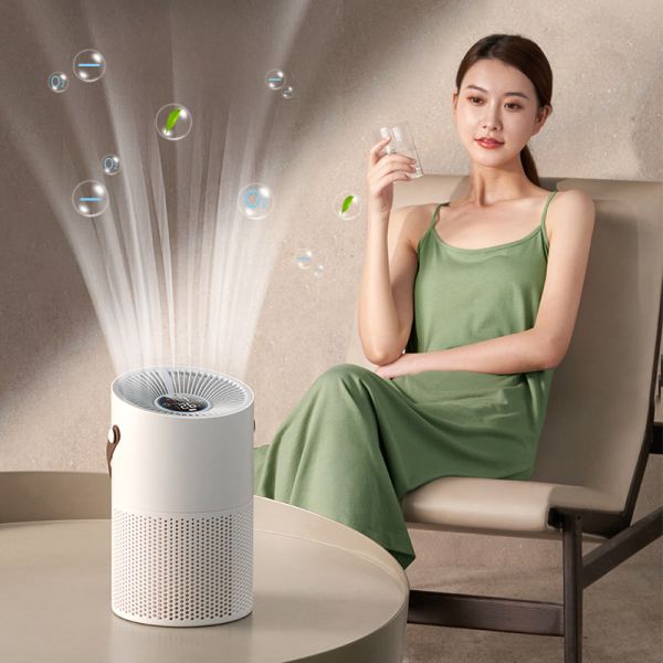 Quality Portable Household Air Purifiers Room Hepa Filter 65m3/H Capacity for sale