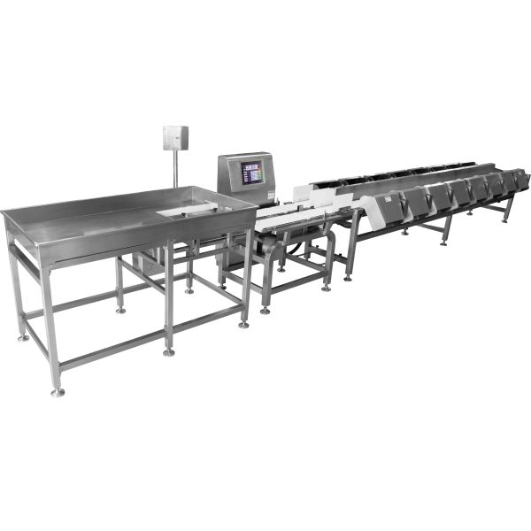 Quality 200 Pcs/Min Weight Grader Machine for sale