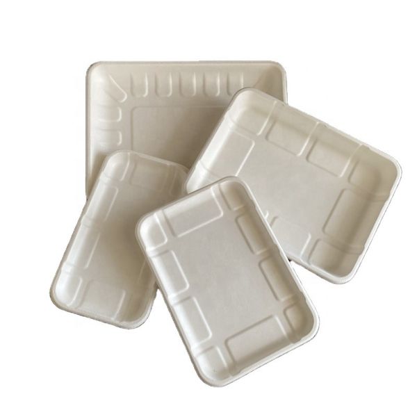 Quality Fruit Sugarcane Bagasse Pulp Weddings Vegetable Disposable Meat Microwave Safe for sale