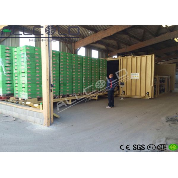 Quality Fresh Produce Mushroom Vacuum Cooling System Customized Color 1 - 24 Pallets for sale