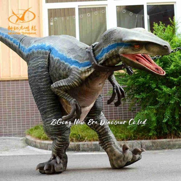 Quality Realistic Blue Dinosaur Costume for Adults Human Control 3-4m for sale
