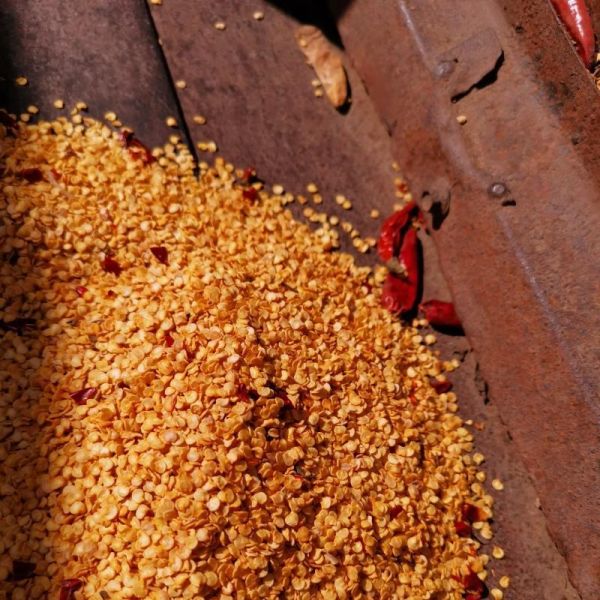 Quality Small Size Red Dried Chilli Seeds Granule For Planting for sale