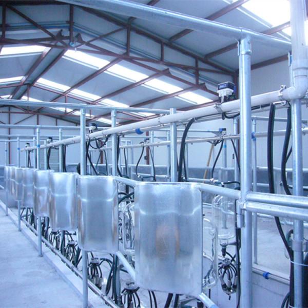 Quality Automatic Glass Milk Measure Herringbone Milking Parlor System for sale