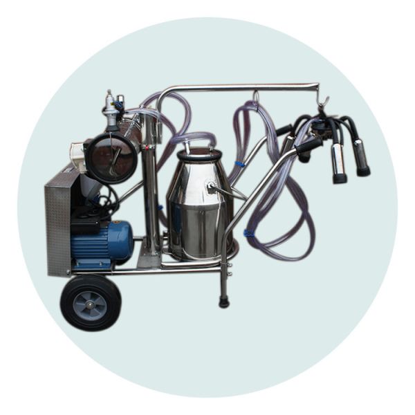 Quality Negative Pressure 170L/min Cow Milking Machine SS304 Material for sale