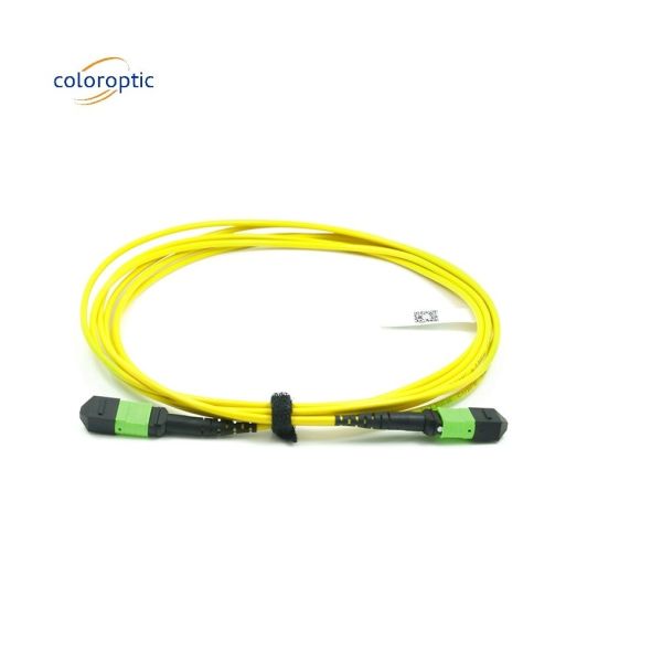 Quality Passive Optical Single Mode Patch Cord MPO-12 / APC-To-MPO12 / APC for sale