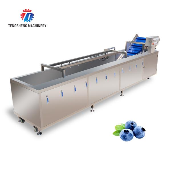 Quality 2000KG/H Fruit And Vegetable Washing Machine Bubble Washing Equipment for sale