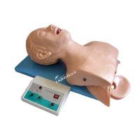 Quality Human Life Size Adult Trachea Intubation Head Model with Airway Lung and Stomach for sale