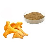 Quality 30% Polysaccharides Chantarelle Mushroom Extract Powder for sale